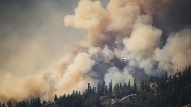 Canadian forests primed for more severe wildfire days, new research ...