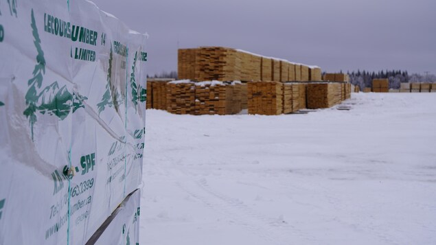 Tarifs douaniers : des propriétaires de scieries pressent Ottawa d’agir ...