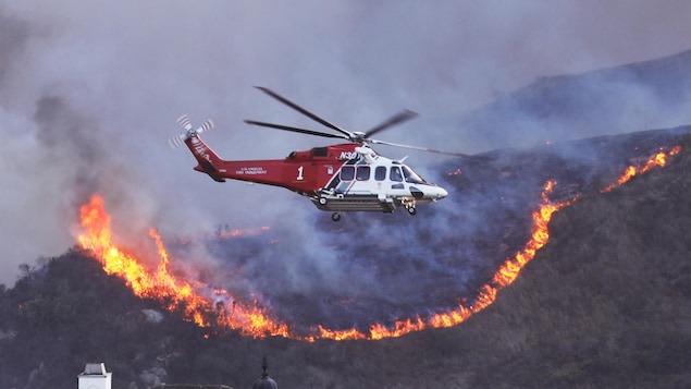Wildfires rage through L.A., forcing thousands to flee as homes, businesses burn | Radio-Canada.ca