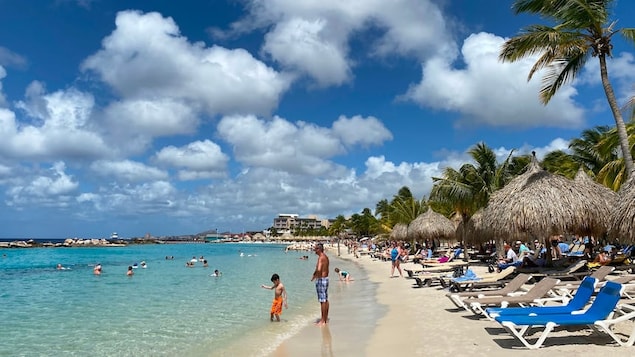 Canadian tourists voice concerns over Caribbean travel after U.S ...