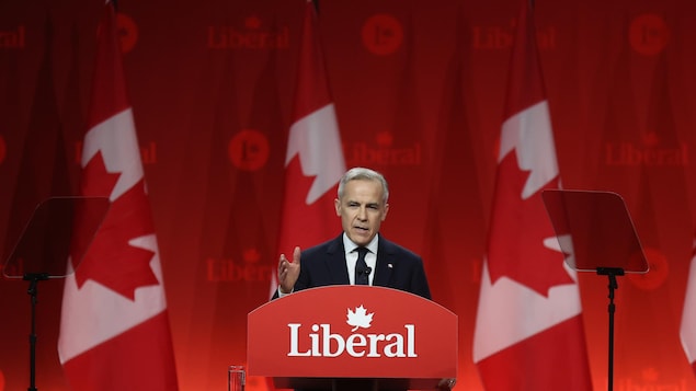Carney vows to keep tariffs on until Americans ’show us respect ...