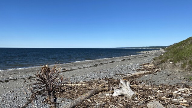 La Matanie prête à recevoir les touristes | Radio-Canada.ca