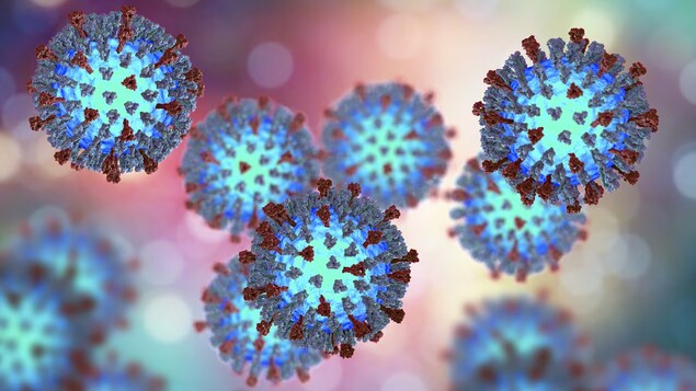 Mga kaso ng tigdas sa Ontario tumaas muli, outbreaks lumalaki sa Quebec ...