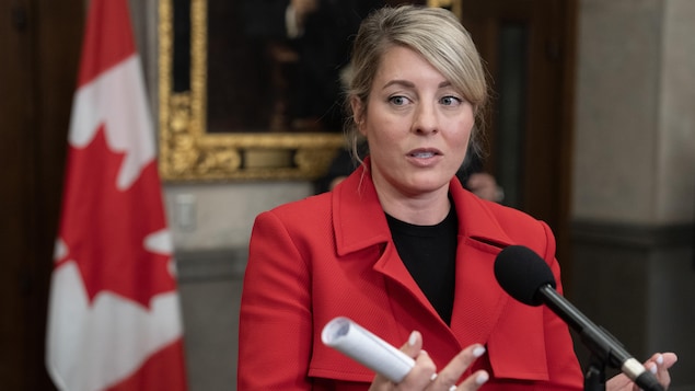 Foreign Affairs Minister Mélanie Joly not running for Liberal ...