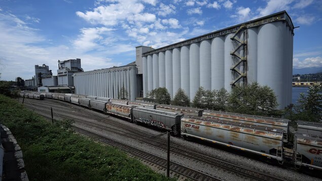 Mga manggagawa sa Metro Vancouver grain terminal sinimulan ang welga ...