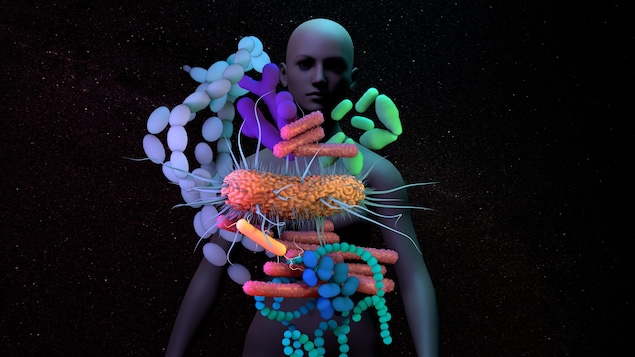 Vers l'humain génétiquement modifié? | Radio-Canada.ca