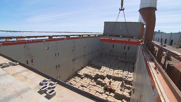 La grande traversée du cacao jusqu'au port de Trois-Rivières | ICI ...