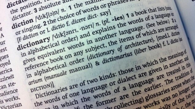 ‘Parasocial’ is Cambridge Dictionary’s word of the year | Radio-Canada.ca