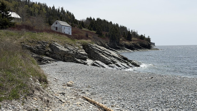 Le parc national Forillon prévoit un fort achalandage | Radio-Canada