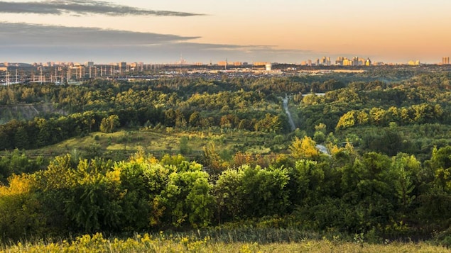Presque achevé, le parc urbain de la Rouge devient le plus grand d ...