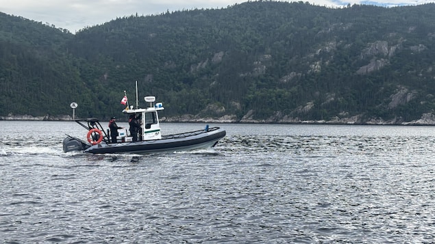 Une 10e édition pour le blitz béluga au parc marin du Saguenay–Saint ...