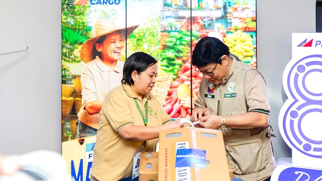 [Ulat] Unang commercial shipment ng mangga mula sa Pilipinas dumating ...