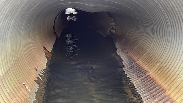 Saguenay ferme des routes après avoir détecté des ponceaux endommagés ...