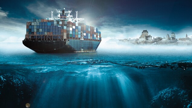 Terminal de conteneurs du Port de Québec : 135 groupes rencontrés ...