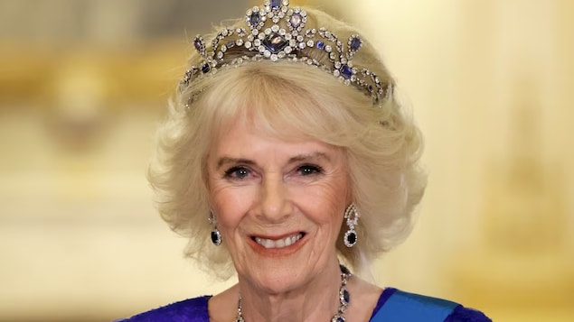 Ang ebolusyon ni Queen Camilla, sa mga mata ng kanyang photographer ...