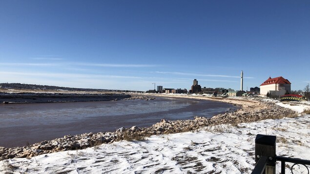 Les poissons sont de retour dans la rivière Petitcodiac | Radio-Canada.ca