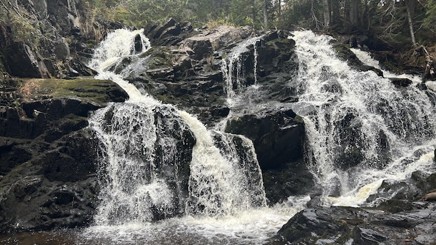 La « route des chutes », nouvel attrait touristique à Kedgwick | Radio ...