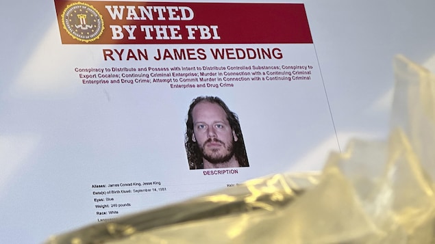 Canadian Olympian na naging drug dealer Ryan Wedding nahaharap sa mga ...