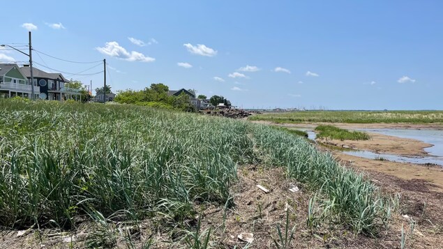 Une petite zone côtière à Shediac est désormais protégée | Radio-Canada.ca
