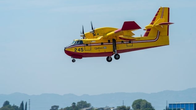 Quebec plane fighting L.A. fires grounded after being struck by drone ...