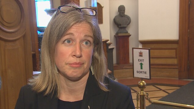 Élections partielles : une grande gueule brouille les cartes de Susan ...