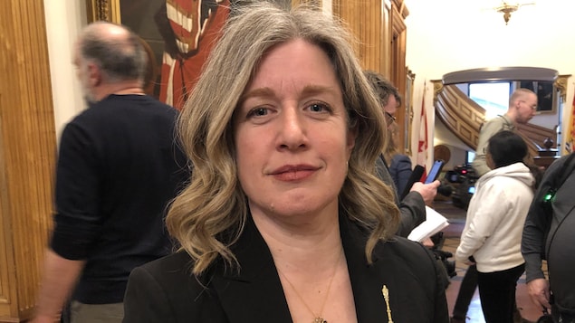 Taxe carbone : les conservateurs demandent aux libéraux d’aller plus ...