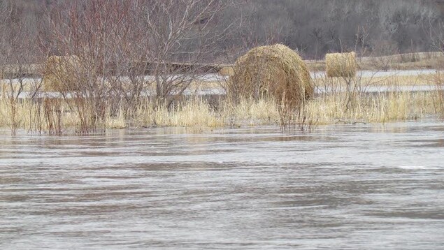 Barrage de Shellmouth : des agriculteurs poursuivent la province ...