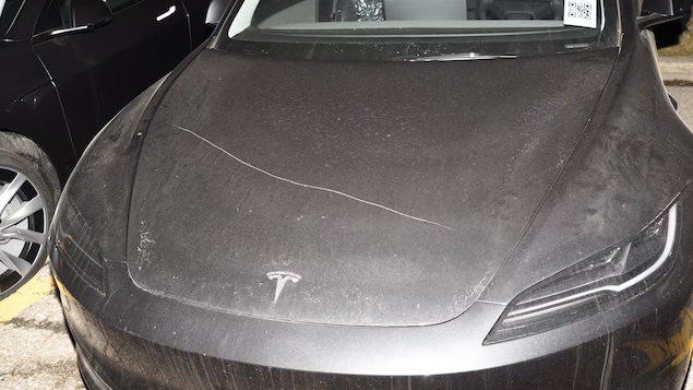 80 Tesla napinsala sa isang dealership sa Hamilton, Ont., dahil sa ...