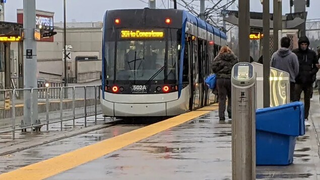 From ’car-dependent hellscapes’ to green cities, Canadians find new ...