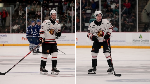 Hockeyeurs et frères : les Franco-Ontariens Tristan et Max Delisle unis ...