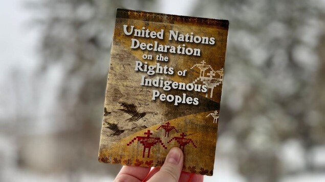 Ottawa releases action plan to implement UNDRIP | Radio-Canada.ca