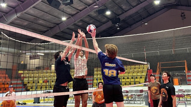 Tournoi Orange Alouette : quand le volleyball devient une affaire de ...