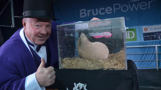 Wiarton Willie, Shubenacadie Sam and Fred la marmotte predict early ...