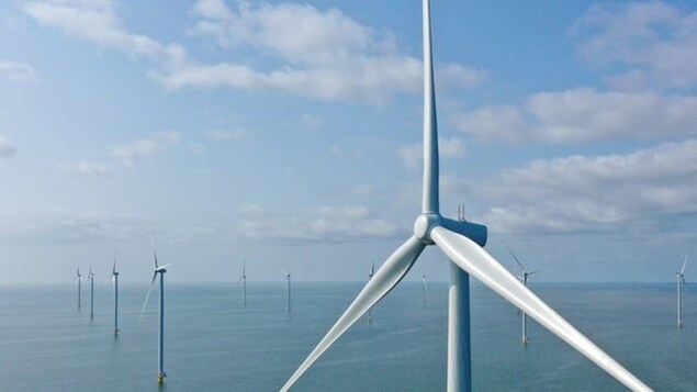 How the Dutch built the world’s largest freshwater wind farm | Radio ...