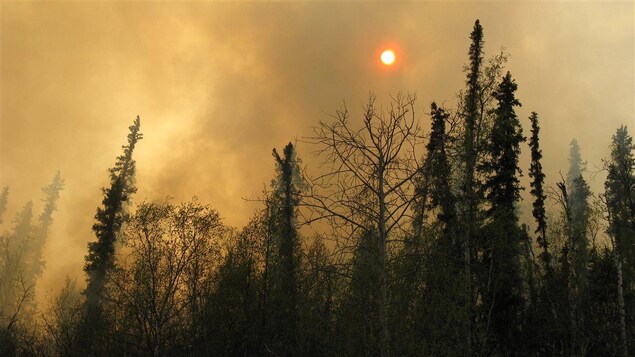 Les risques de feux de forêt demeurent importants au Yukon | Radio ...