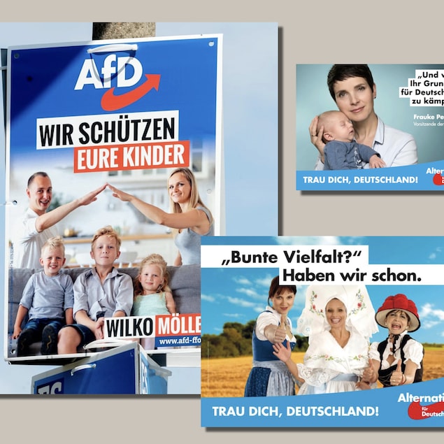 Pourquoi le parti allemand soutenu par Musk fait polémique | Brève ...