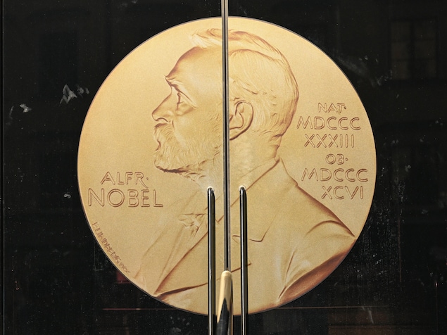 Qui sont les nouveaux lauréats du prix Nobel? | En bref | Radio-Canada