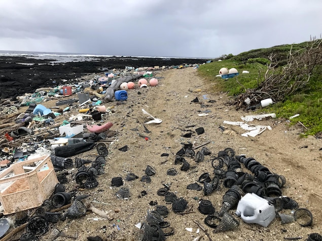 « Décoloniser le tourisme » à Hawaï | Brève | Radio-Canada