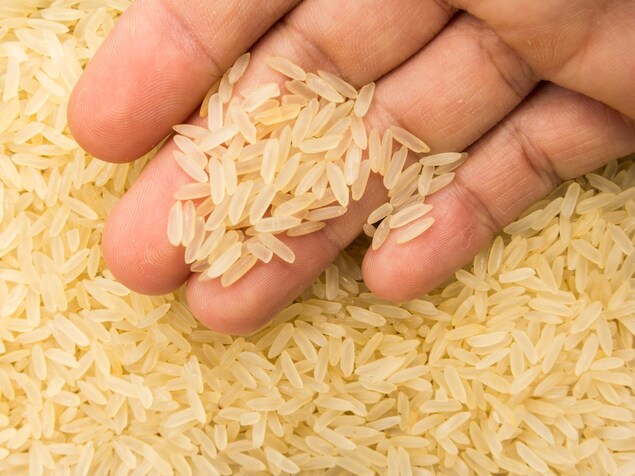 Ne séchez plus votre iPhone dans du riz