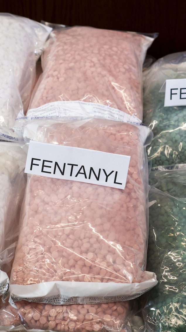 Plus de fentanyl saisi à la frontière canado-américaine | Brève | Radio ...