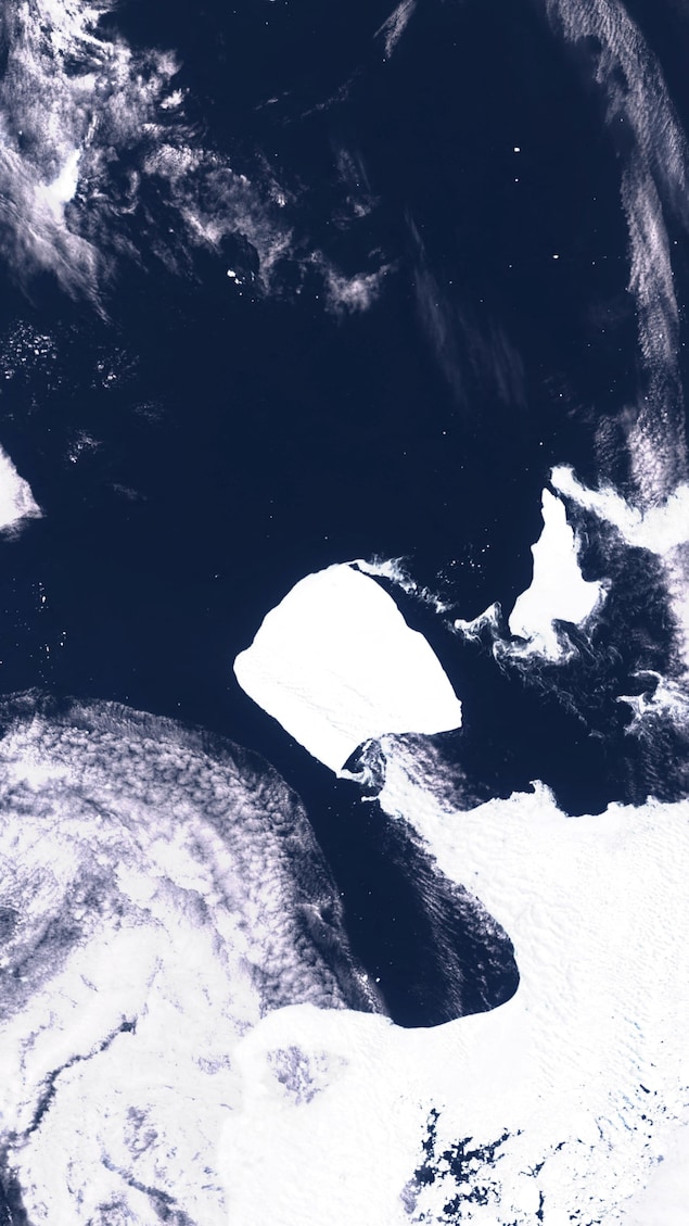 Le plus gros iceberg du monde est à la dérive | Brève | Radio-Canada