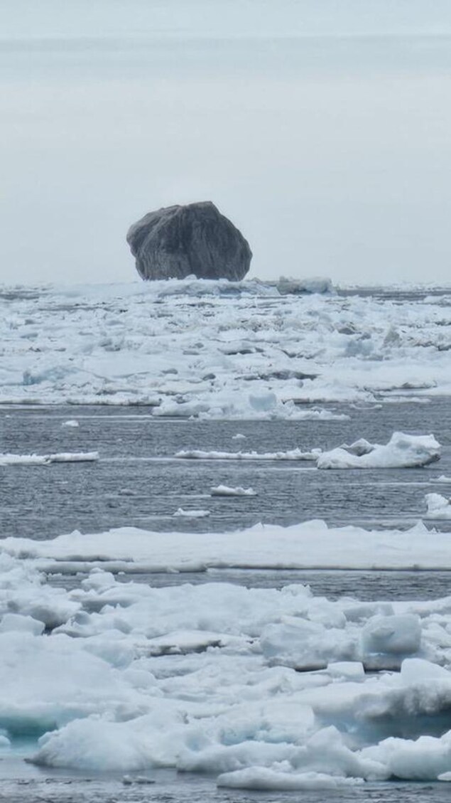 Un mystérieux iceberg noir observé au large du Labrador | Brève | Radio ...