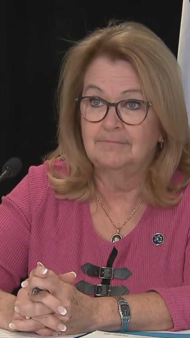 Un comité (cisgenres) pour parler d’identité de genre critiqué | Brève | Radio-Canada