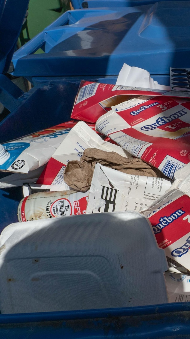 Gérez-vous bien vos déchets? | En bref | Radio-Canada