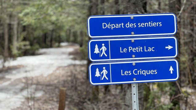 1 M $ pour redorer le Parc régional du Lac-Matapédia | Radio-Canada