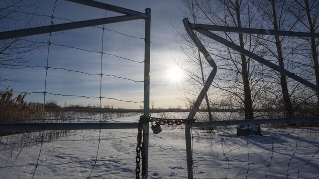 Northvolt met sur pause l’abattage d’arbres sur le site de sa future ...