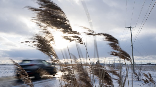 Windy, stormy weather knocks out power for hundreds of thousands in ...