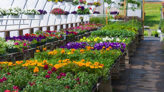 Rattrapage du lundi 22 mai 2023 : Journée nationale des patriotes, et ...