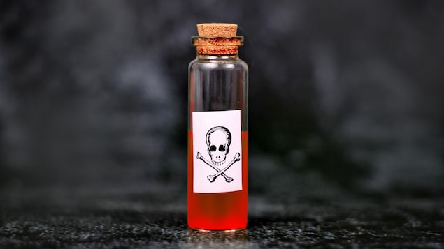 Rattrapage du 5 sept. 2020 : Vol d'œuvres d'art et histoires de poisons