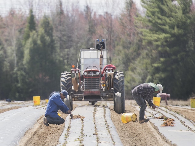 La situation des travailleurs migrants préoccupe l’ONU | Brève | Radio ...